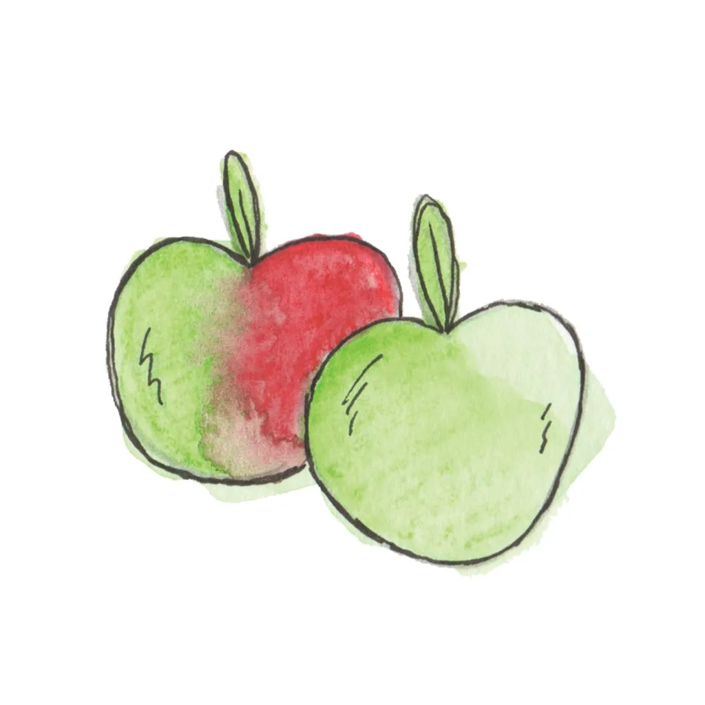 Food for phonics - pip pop pippety pop! - Clickety Books